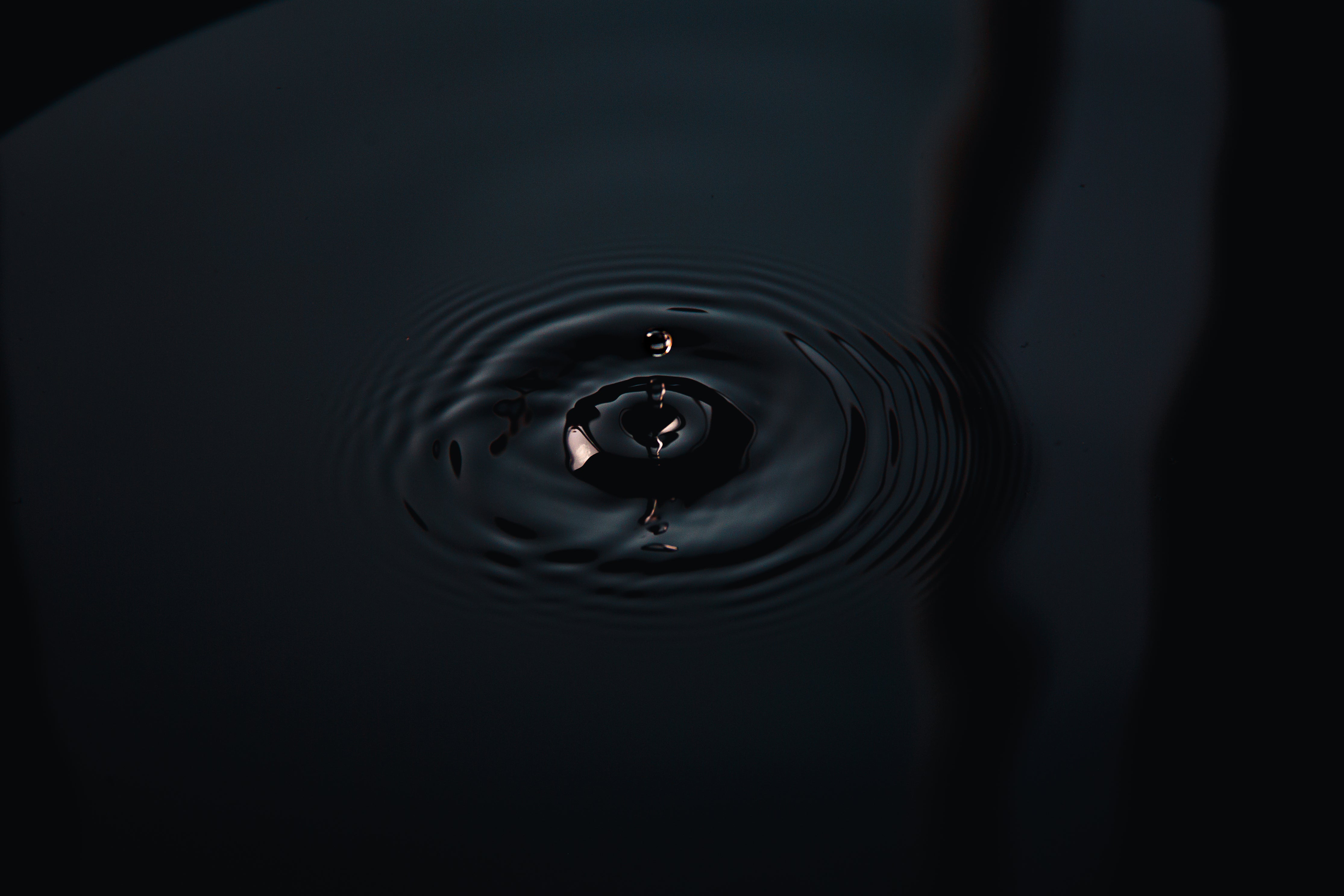 Aquamation vs. Traditional Fire Cremation: Which is Right for You ...