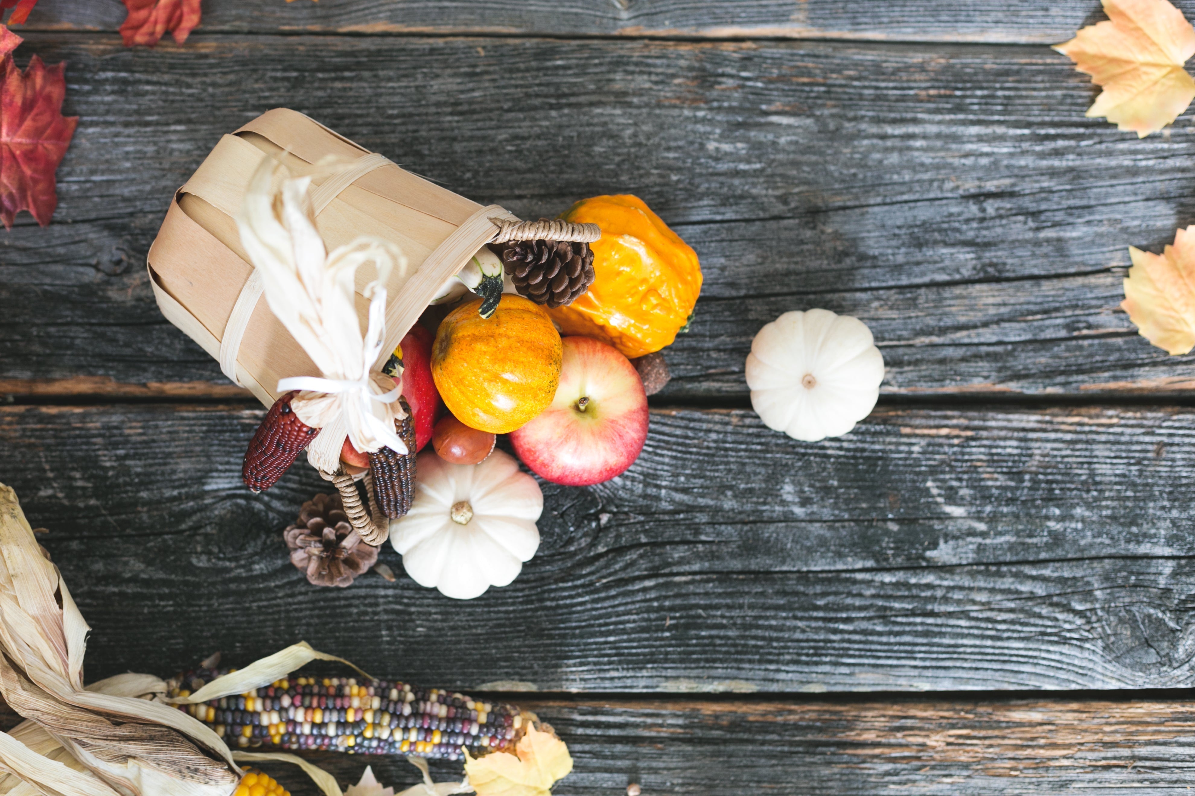 How to Navigate Grief During Thanksgiving in 2025 – Oaktree Memorials