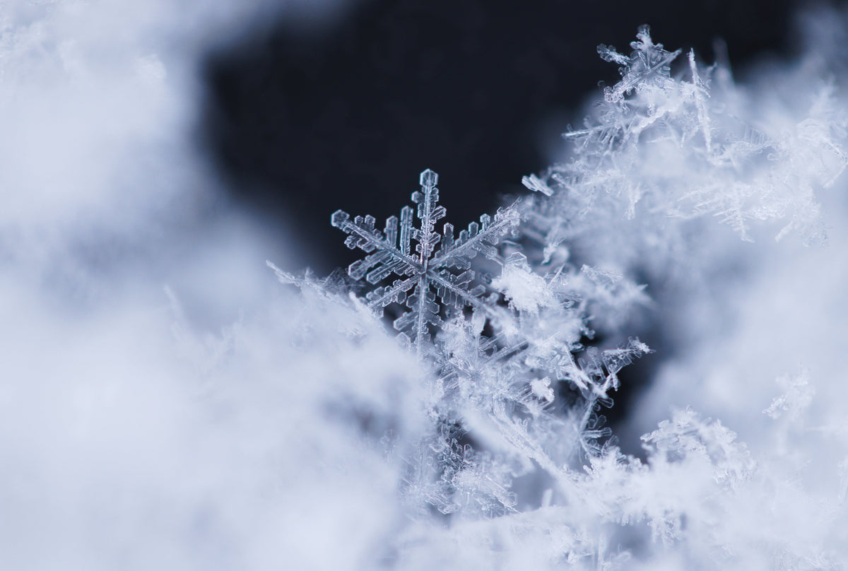 Snowflake Crafts as Symbols of Unique Lives – Oaktree Memorials